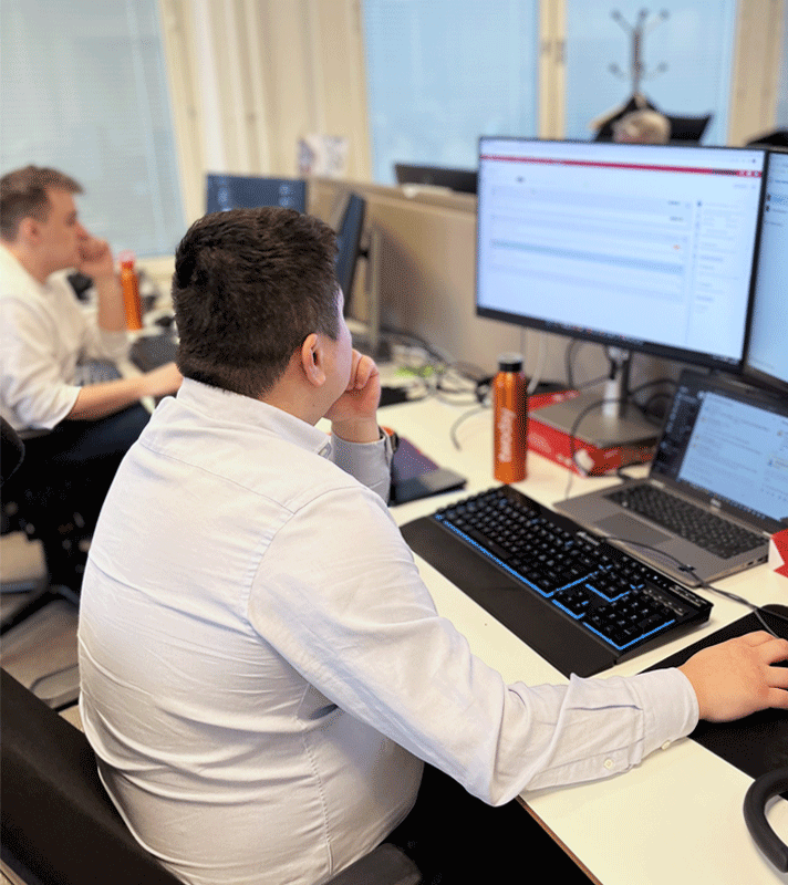 Från vision till verklighet med agila teamleveranser